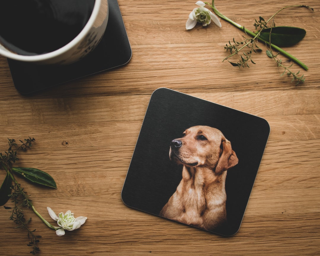 Coaster - Ruby, Fox Red Labrador - Etsy