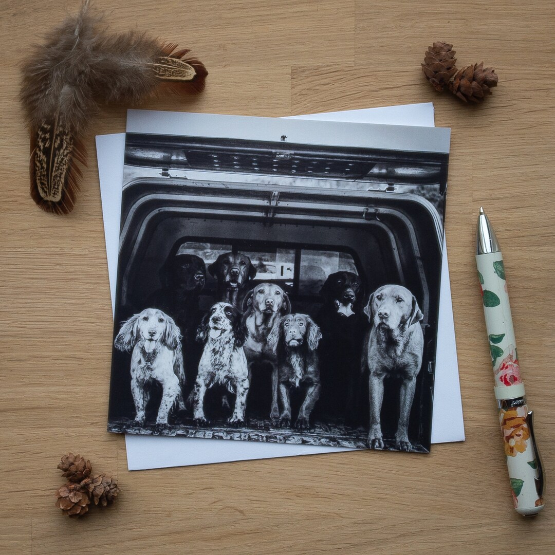Greetings Card - Picking up Team, Gundogs in Pickup - Etsy