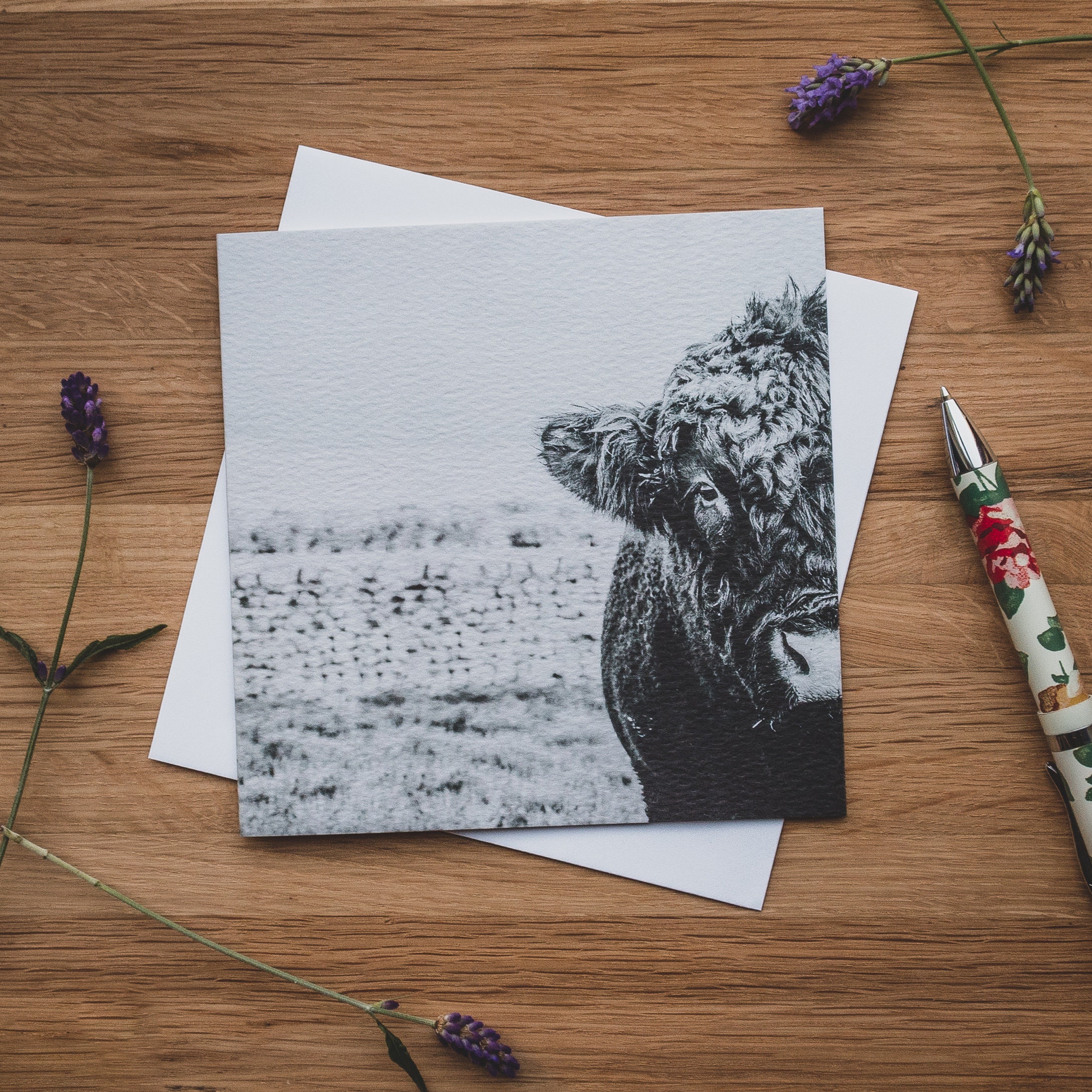 Farm Animal Greetings Cards Set (black and White) - Etsy
