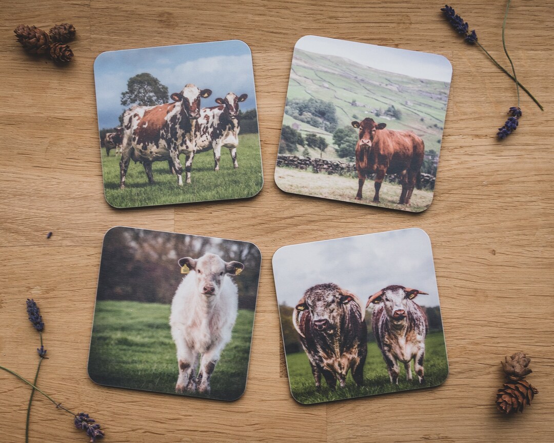 Set of 4 Coasters - Cows and Cattle - Etsy