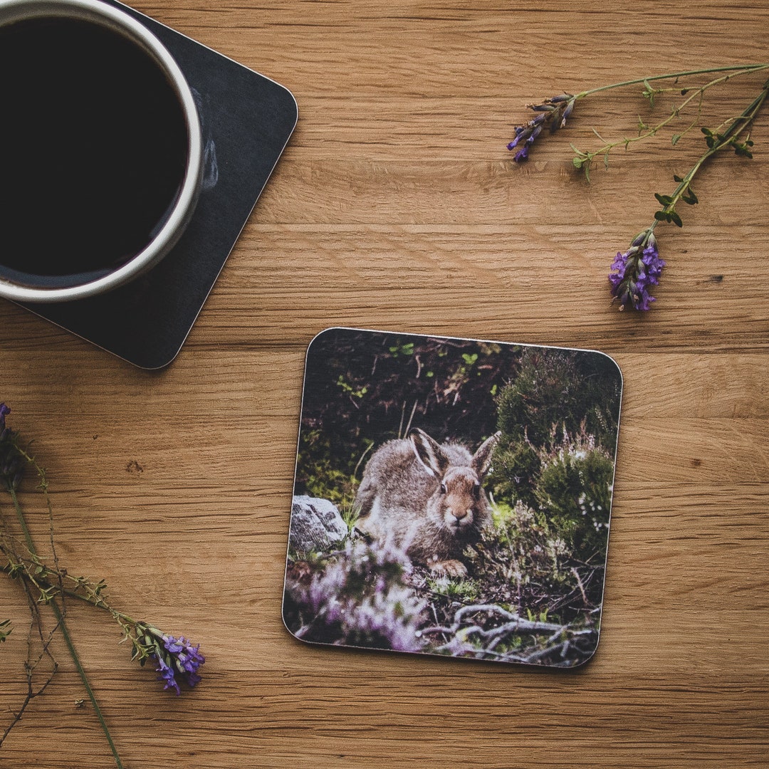 Coaster Hare Portrait - Etsy