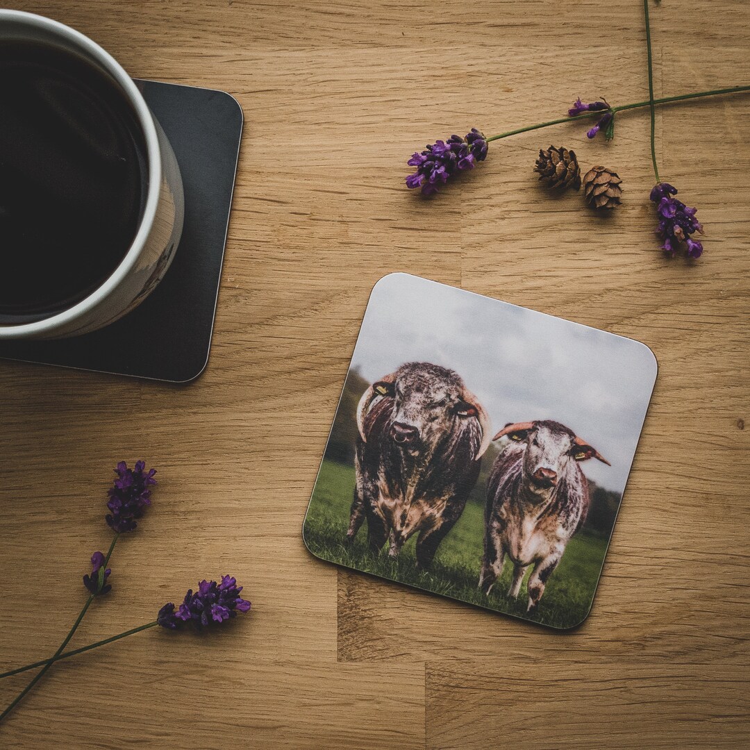 Coaster - Mr & Mrs, Longhorn Cattle, Bull and Cow - Etsy