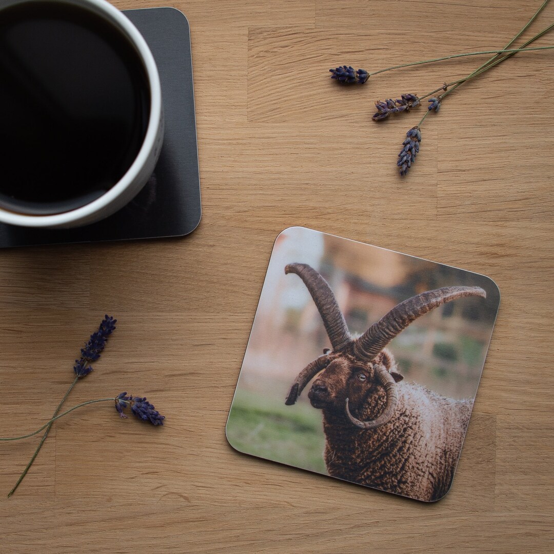 Coaster - Manx Loaghtan, Sheep With 4 Horns, Rare Breed Sheep - Etsy