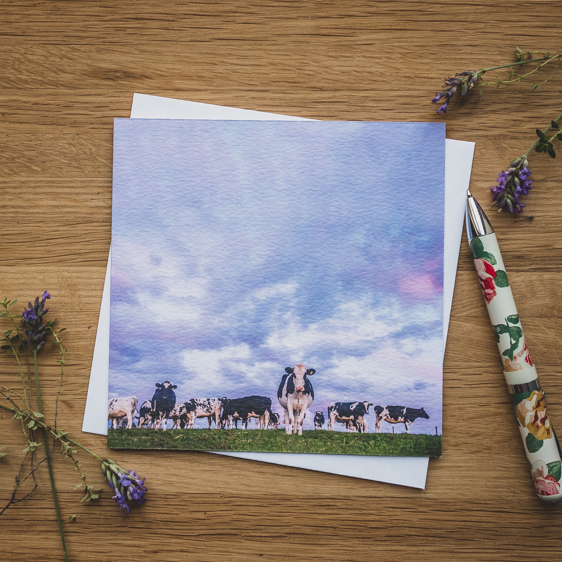 Farm Animals Greetings Card Set - Etsy