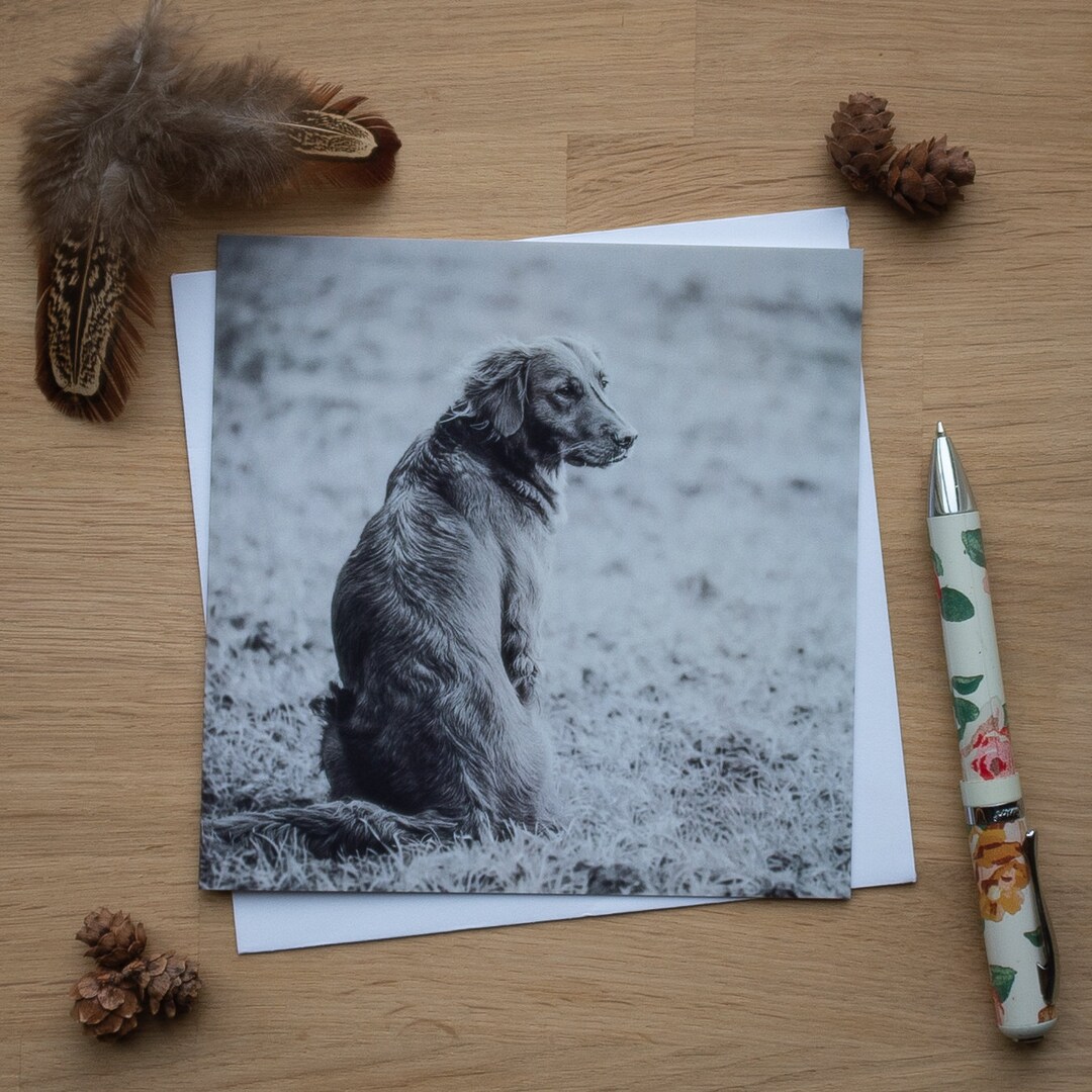 Greetings Card - Over Her Shoulder, Golden Retriever - Etsy