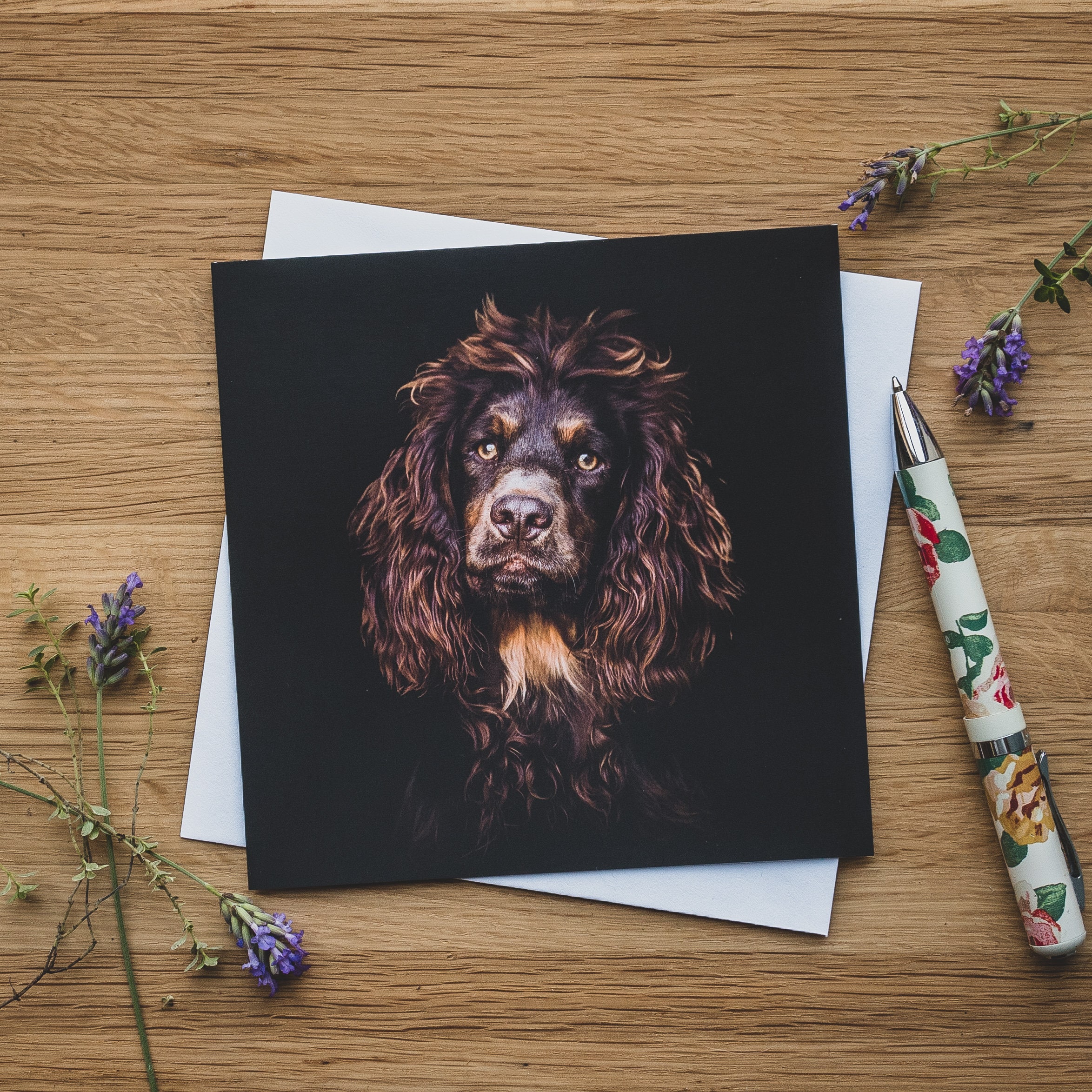Greetings Card - Barney, Chocolate and Tan Spaniel - Etsy UK