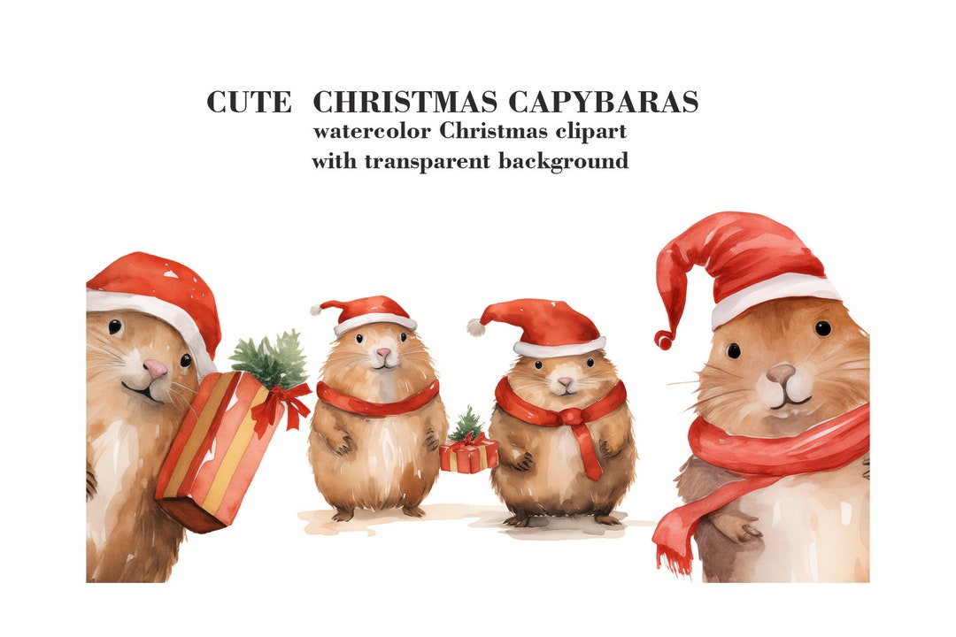Christmas Capybara Clipart Watercolor Family Clipart PNG - Etsy