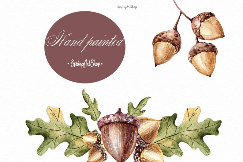 Autumn Coming Fall Clipart Acorn Clipart Watercolor Clipart - Etsy UK