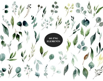 Watercolor Greenery Clipart. Foliage Green Eucalyptus Greens - Etsy