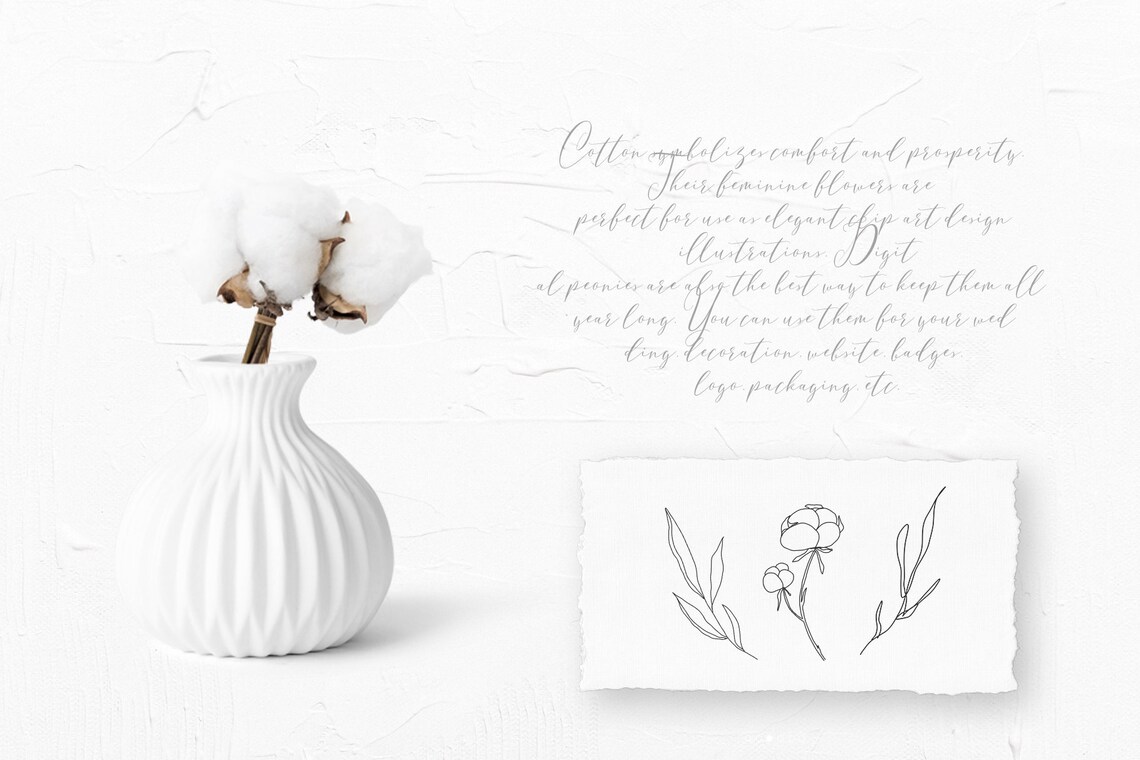 Delicate Cotton Outline Clipart. Botanical Lineart Prints | Etsy