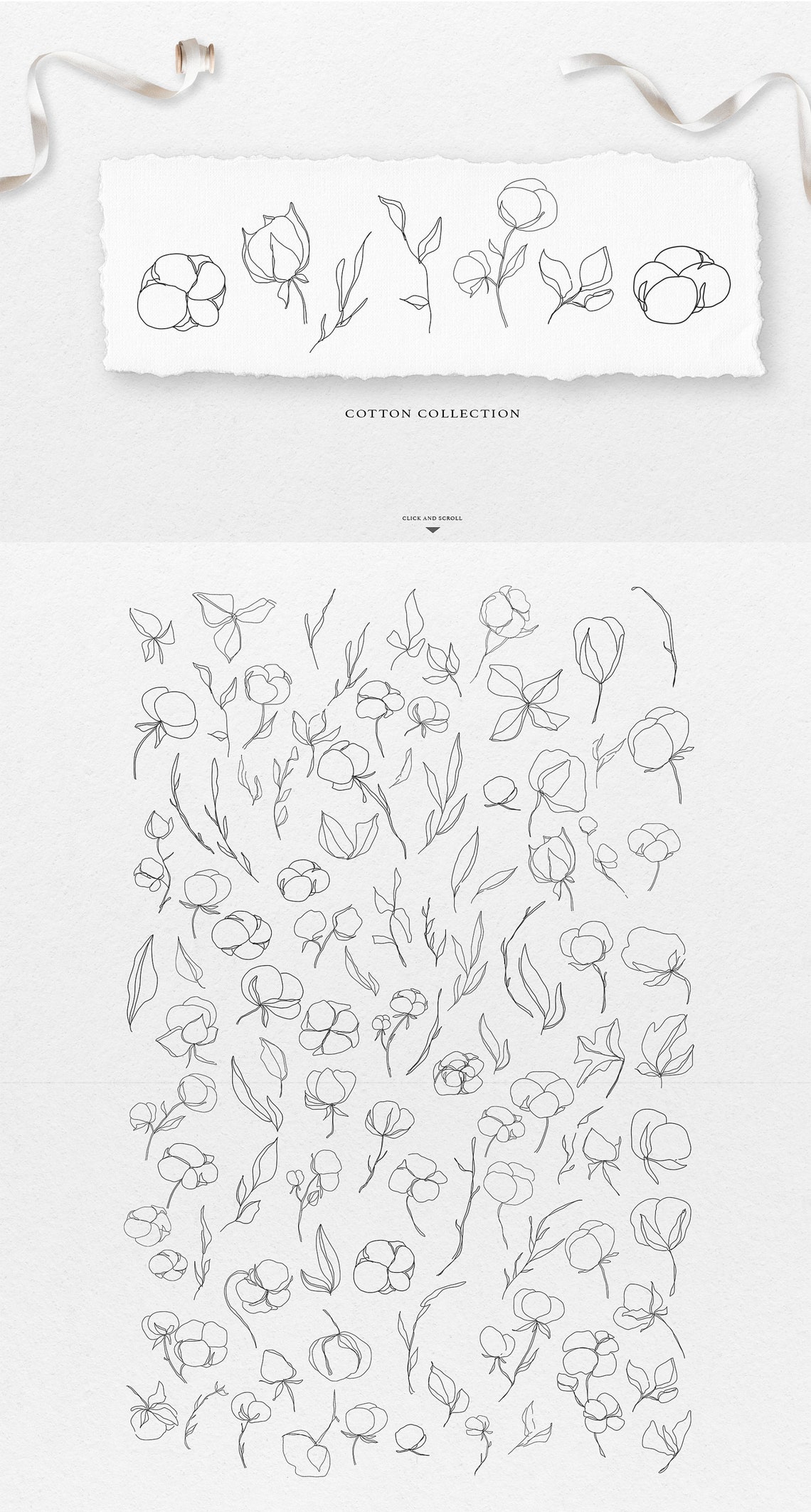 Delicate Cotton Outline Clipart. Botanical Lineart Prints | Etsy