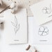 Delicate Cotton Outline Clipart. Botanical Lineart Prints, Flower ...