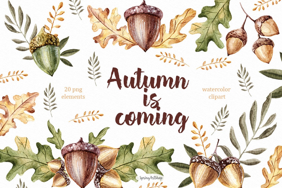 Autumn Coming Fall Clipart Acorn Clipart Watercolor Clipart - Etsy UK