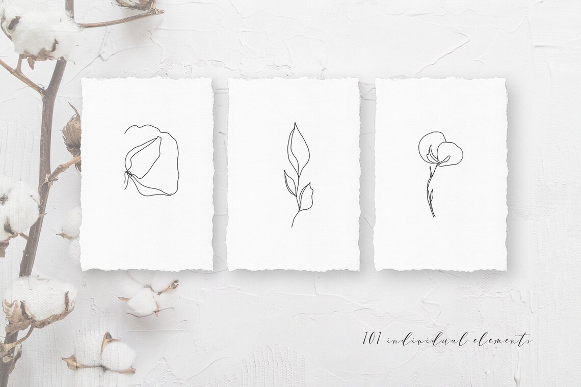 Delicate Cotton Outline Clipart. Botanical Lineart Prints | Etsy