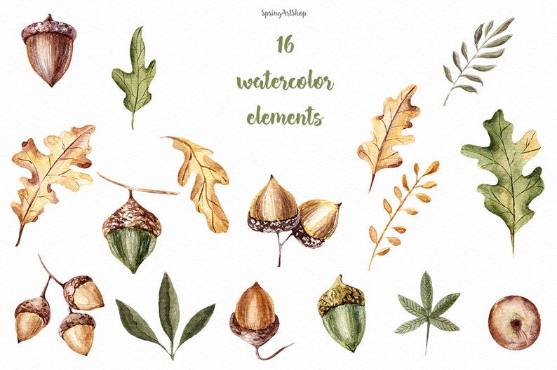 Autumn Coming Fall Clipart Acorn Clipart Watercolor Clipart | Etsy UK