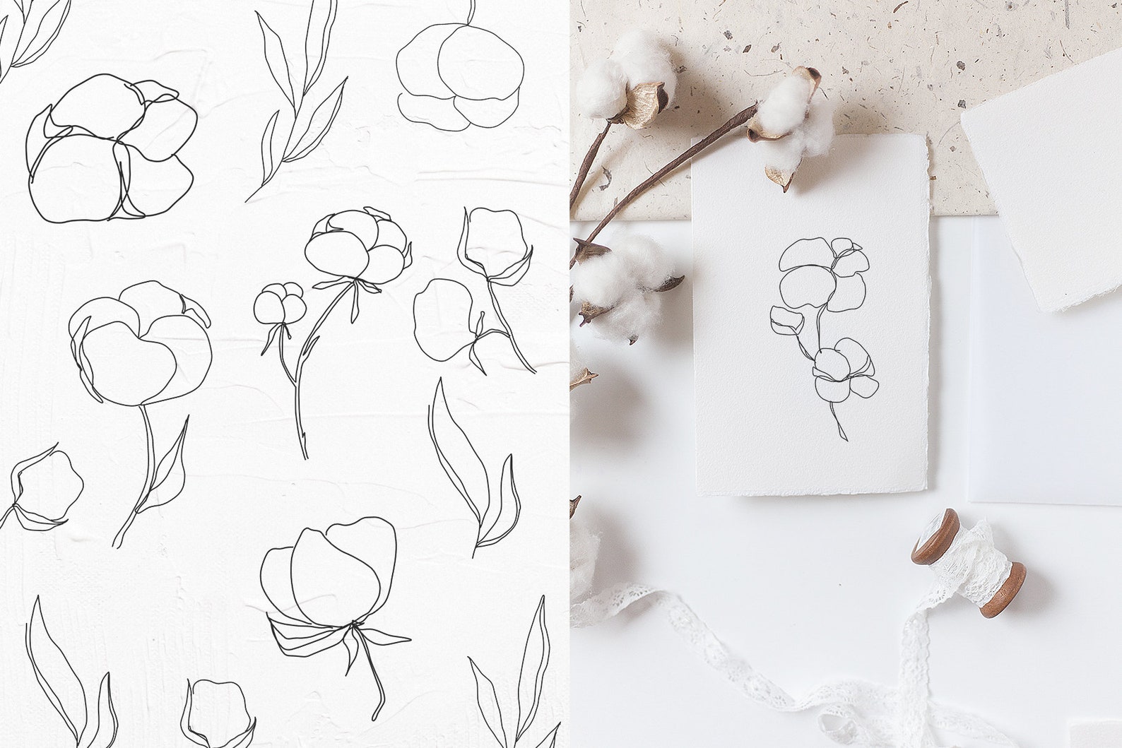 Delicate Cotton Outline Clipart. Botanical Lineart Prints - Etsy