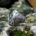 Valkyrie Ring, Nordic Viking Ring, Scandinavian Norse Viking Jewelry ...