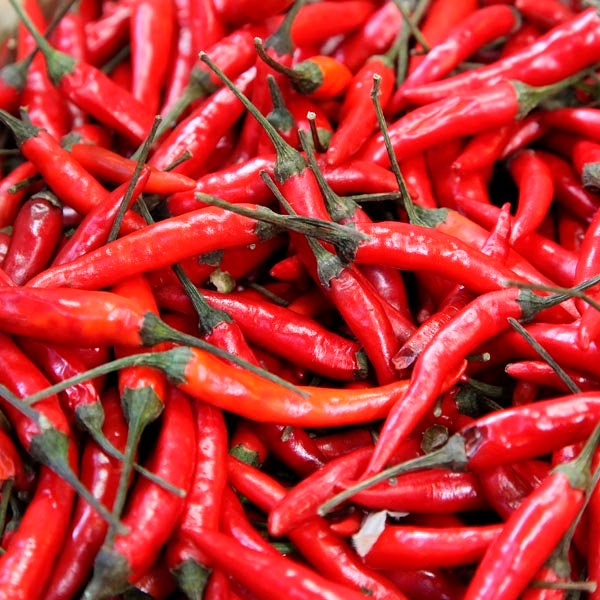 Red Chili Pepper Seeds - Etsy