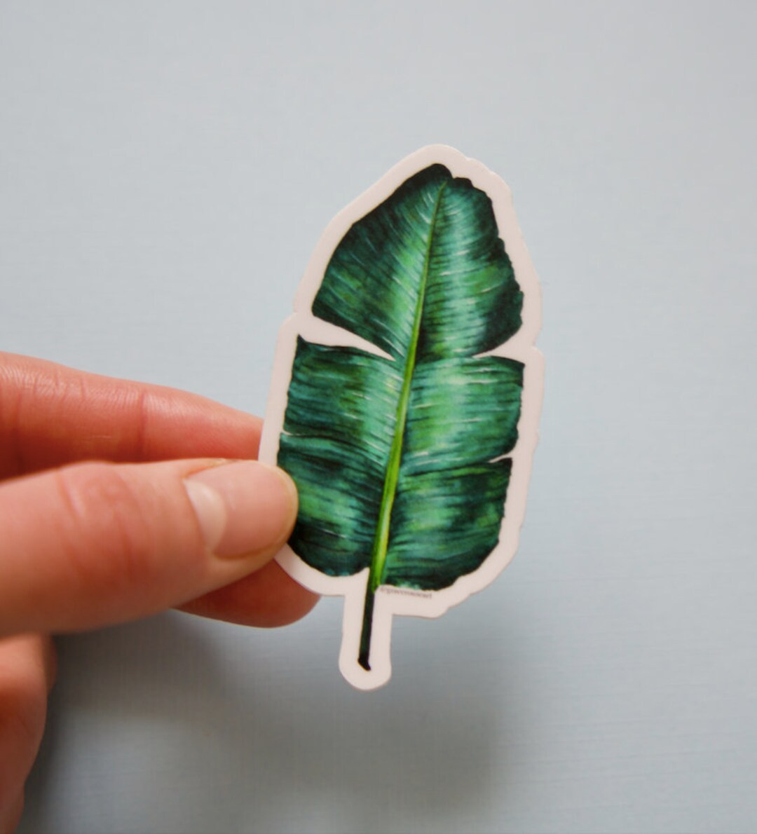 Banana Leaf Vinyl Sticker, Laptop, Waterbottle, Car Window Sticker ...