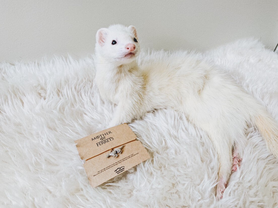 Ferret | Mother of Ferret | Ferret Jewelry | Ferret Bracelet | Ferret ...