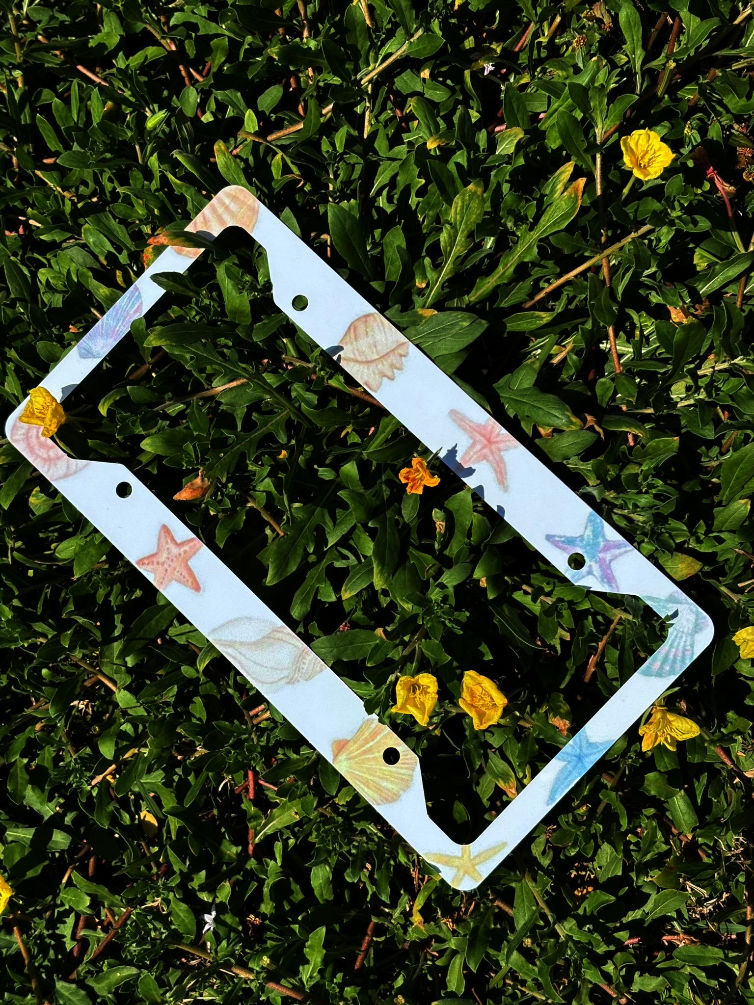 Seashell License Plate Frame – Coastal Beach Car Accessory, Sublimated ...