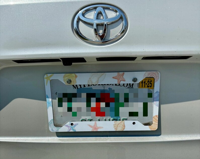 Seashell License Plate Frame – Coastal Beach Car Accessory, Sublimated ...