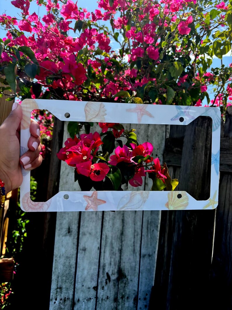 Seashell License Plate Frame – Coastal Beach Car Accessory, Sublimated Design - Etsy