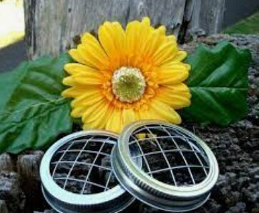 Flower "frog" Lids, Set of 2 - Flower Arrangement Lids for Mason Jars ...