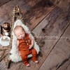 LOG GRAPEVINE BED, Natural Wood Props, Newborn Photo Prop, Real Wood ...