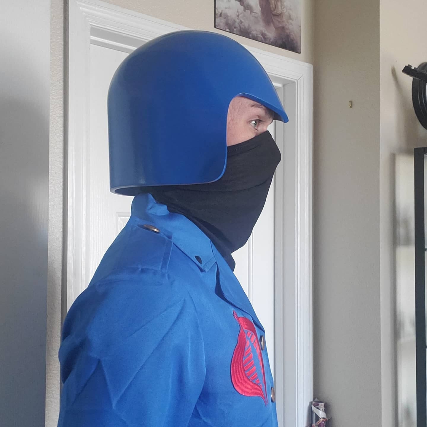 Cobra Commander Costume