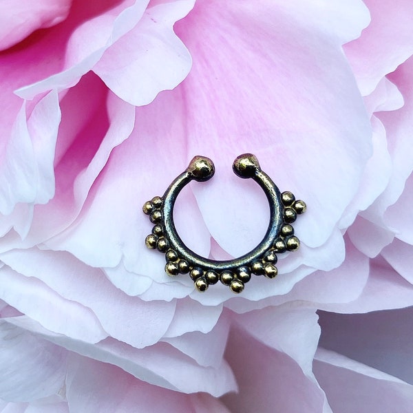 Fake Septum Ring - Etsy