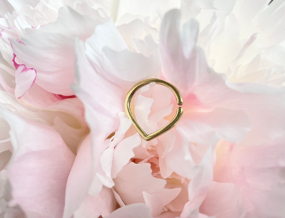 Elegant Septum Ring - Etsy