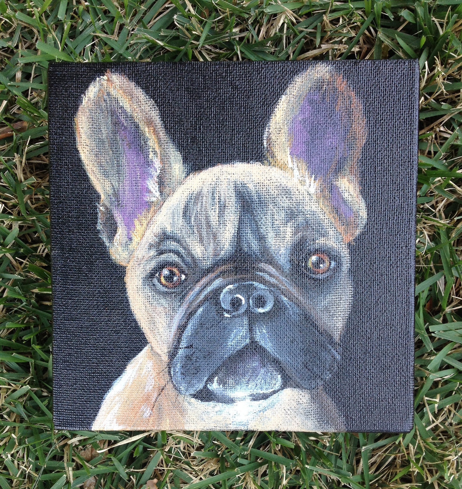 Custom Pet Portraits - Etsy