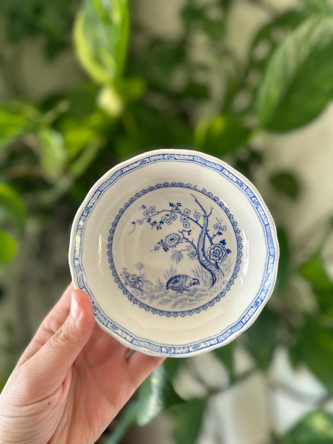 Furnivals Blue Quail Pattern Dessert/sauce Bowl 1913 - Etsy