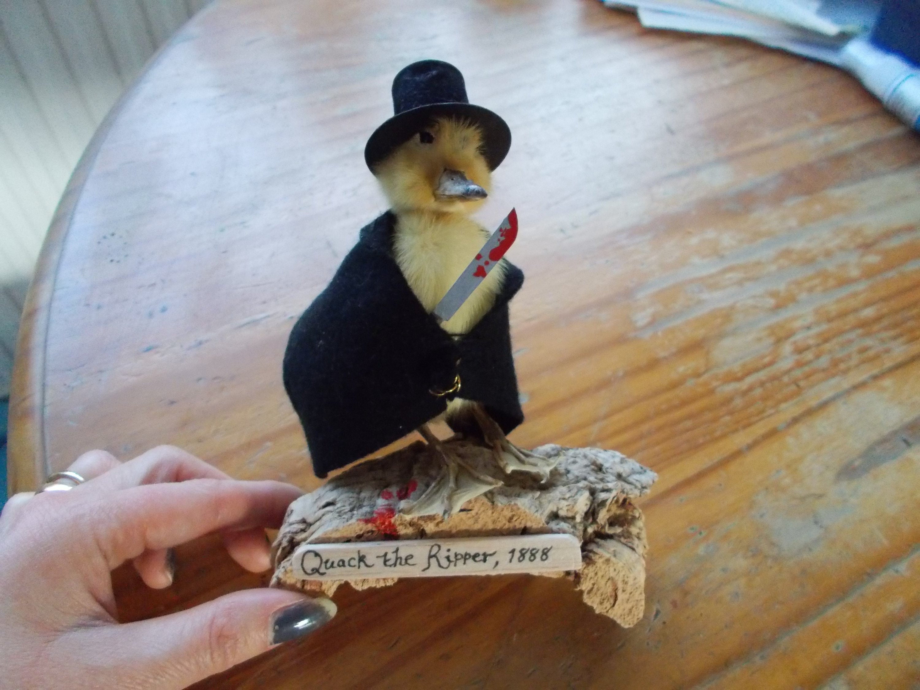 Quack The Ripper Sitting Ducks" O Brother What Art Thou/Urban Legend