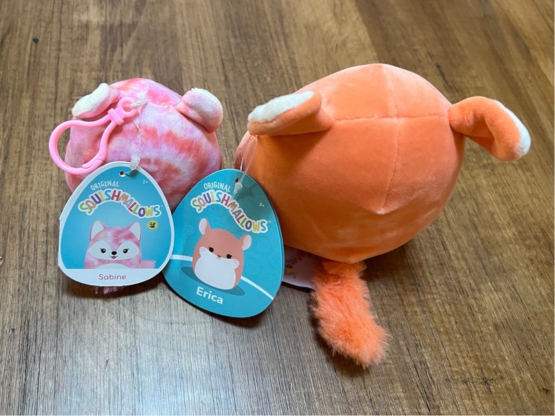 Squishmallow 5 Erica Chinchilla Mouse Orange Pet and Bag Backpack ...