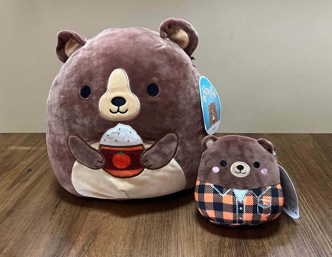 NWT Squishmallow 10-11 Baron Bear With Pumpkin Latte Tea Mug - Etsy