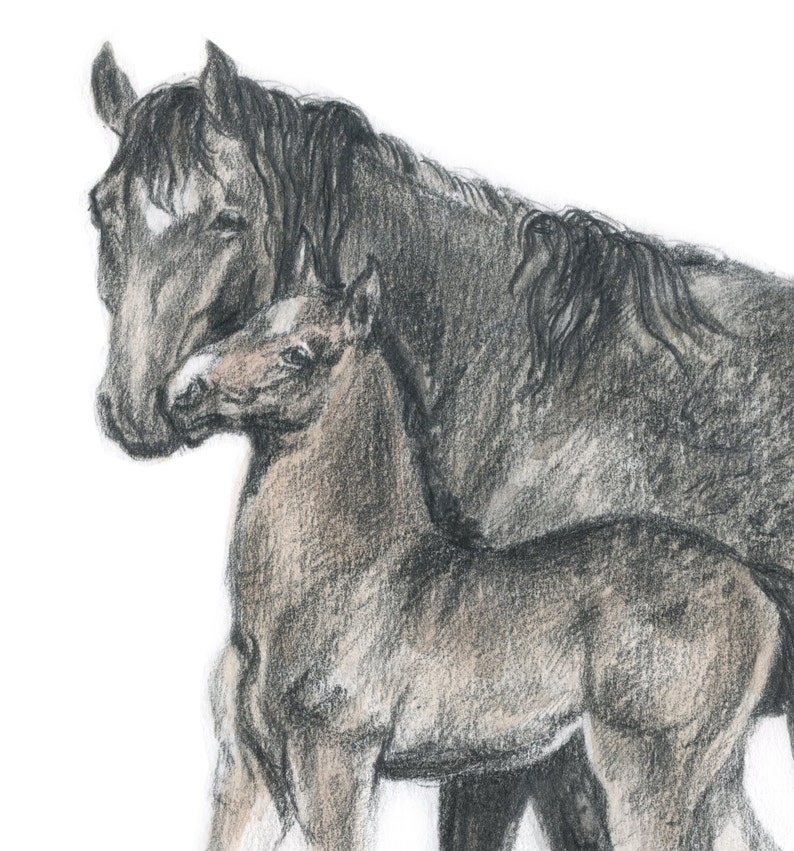 Mare With Foal Original Graphite Pencil Drawing Horses | Etsy