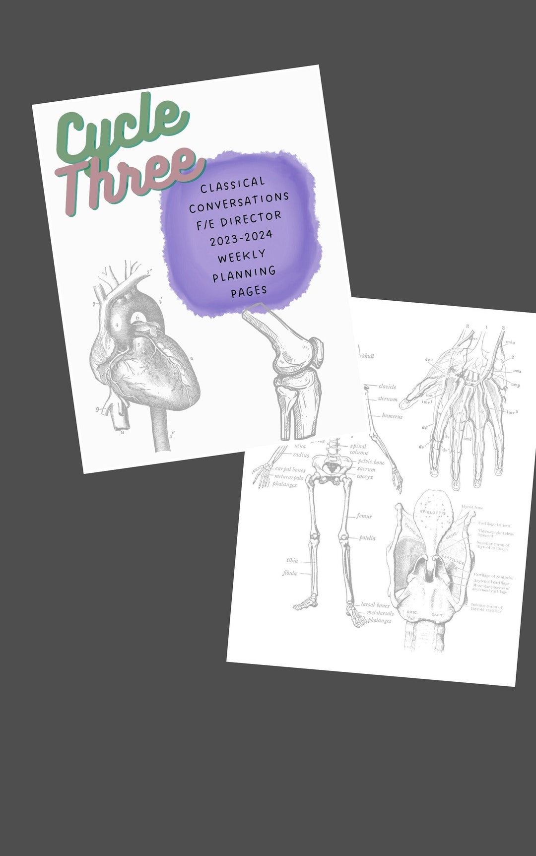 Cycle 3 Classical Conversations Director Planner 2023-2024 - Etsy