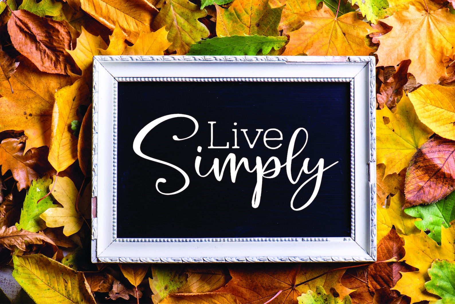 Live Simply in Two Fonts SVG DXF EPS Cutting File for Cricut | Etsy