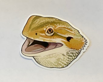 Bearded Dragon Bumper Sticker - Etsy