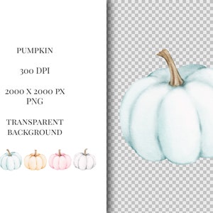 Pumpkin Fall Clipart. Boho Pumpkin Clipart, Watercolor Pumpkin. Fall ...