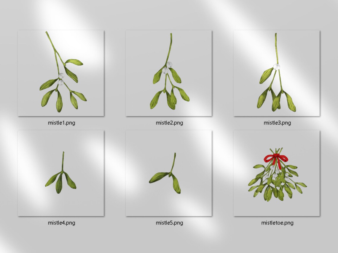 Mistletoe Clipart Watercolor Mistletoe Christmas Png Set. Mistletoe ...