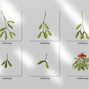 Mistletoe Clipart Watercolor Mistletoe Christmas Png Set. Mistletoe ...