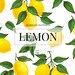 Lemon Seamless Pattern Png. Digital Paper Lemon 12x12 In. Citrus ...