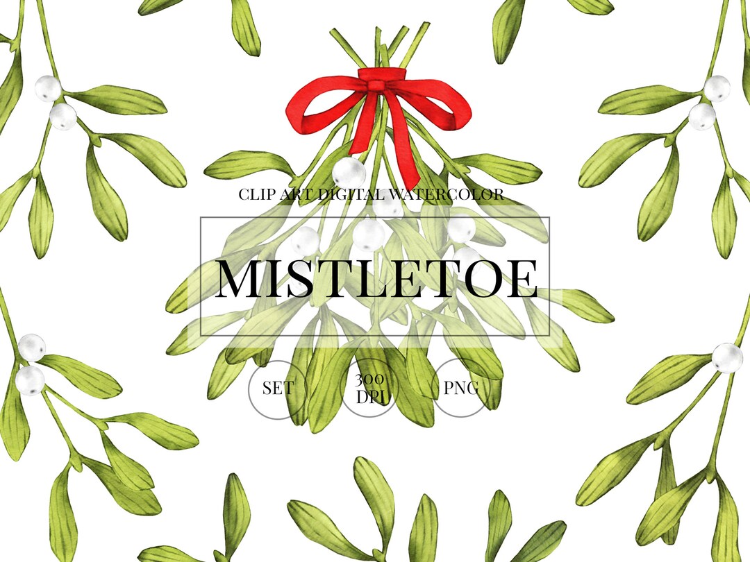 Mistletoe Clipart Watercolor Mistletoe Christmas Png Set. Mistletoe ...