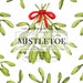 Mistletoe Clipart Watercolor Mistletoe Christmas Png Set. Mistletoe ...