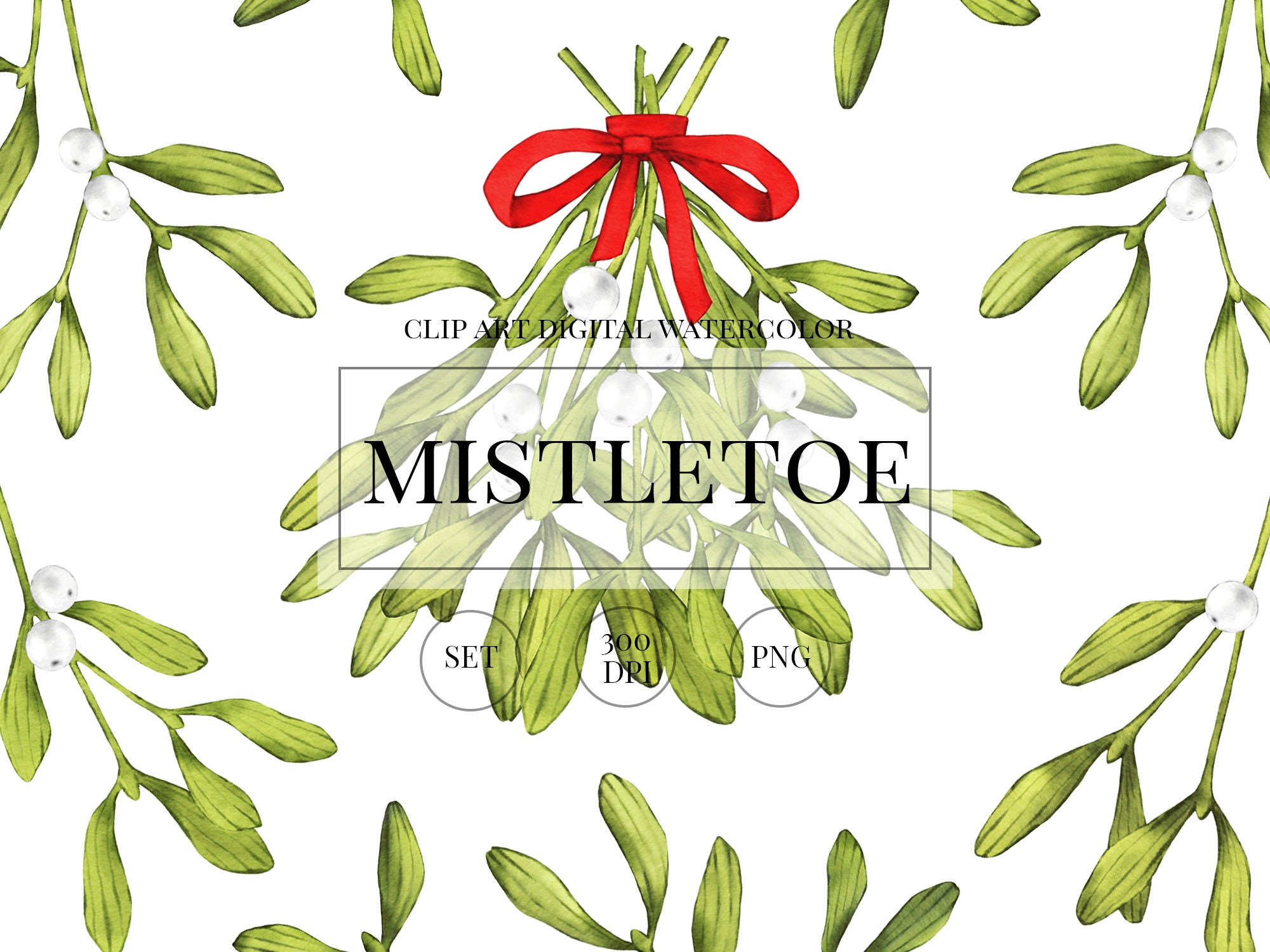 Mistletoe Clipart Watercolor Mistletoe Christmas Png Set. Mistletoe ...