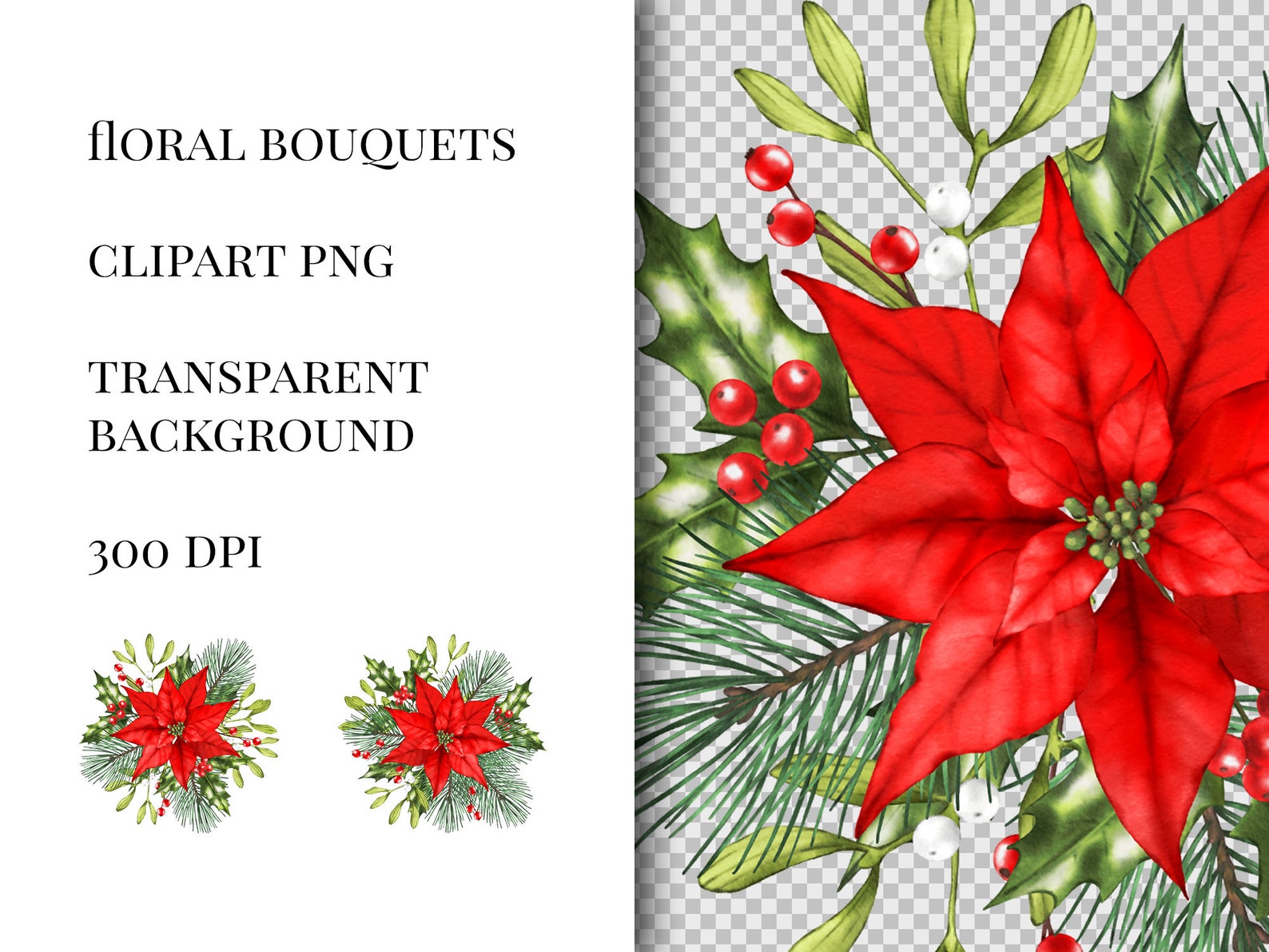 Christmas Clipart Red Poinsettia and Winter Greenery Png. Mistletoe ...