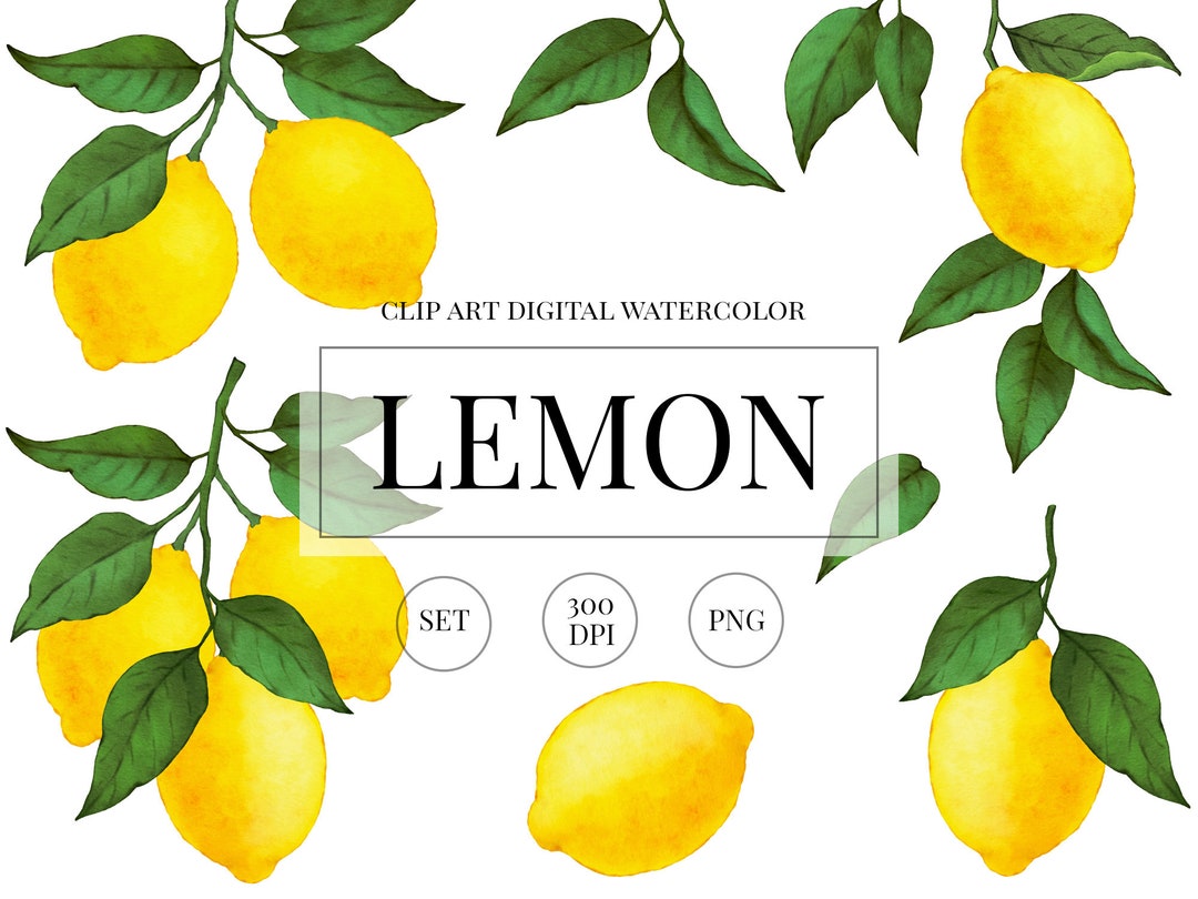 Watercolor Lemon PNG Clipart. Lemons Clipart Digital Watercolor Set ...